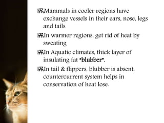 Thermoregulation in vertebrates | PPTX