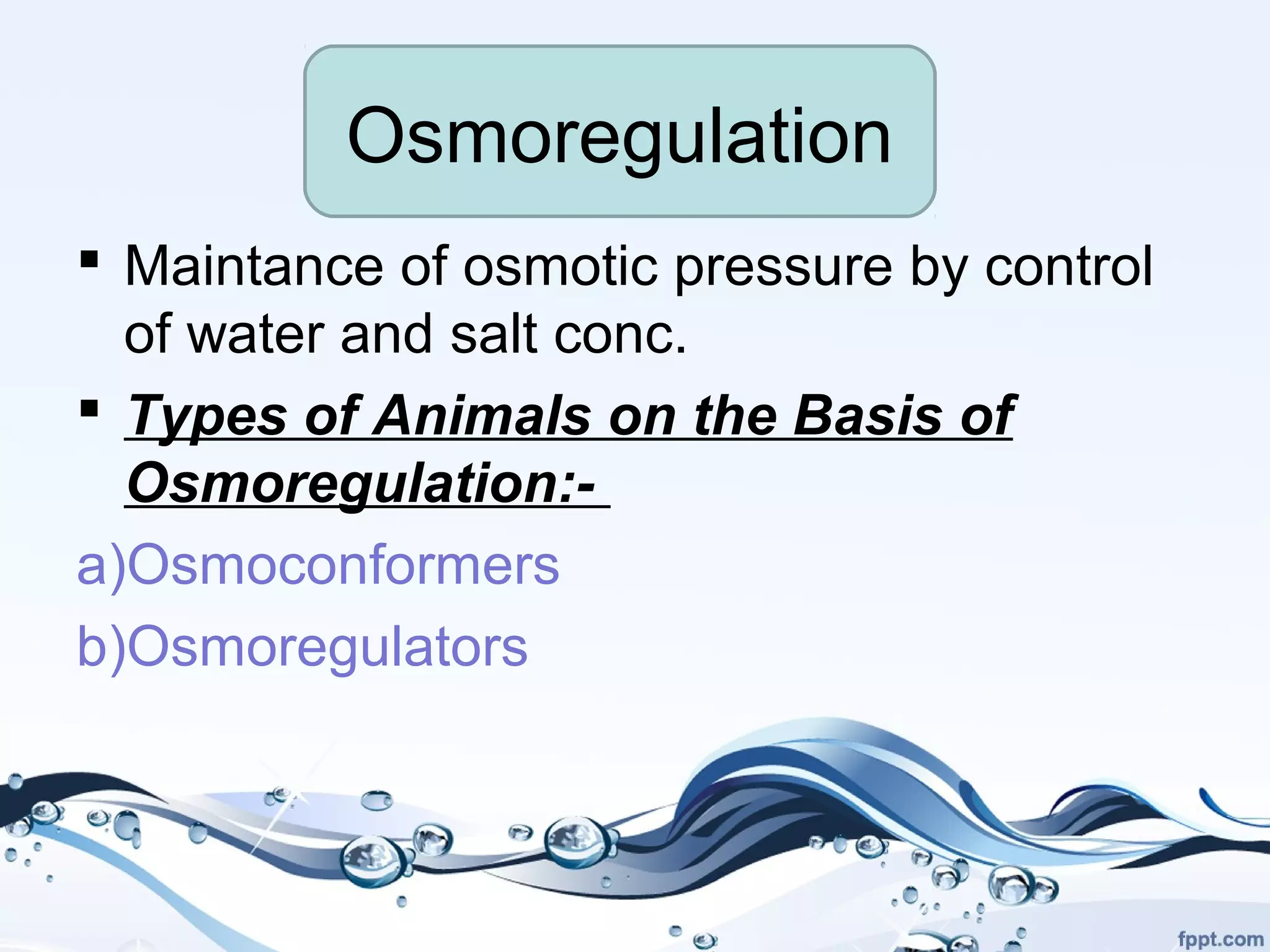 Osmoregulation and Body Fluid | PPT