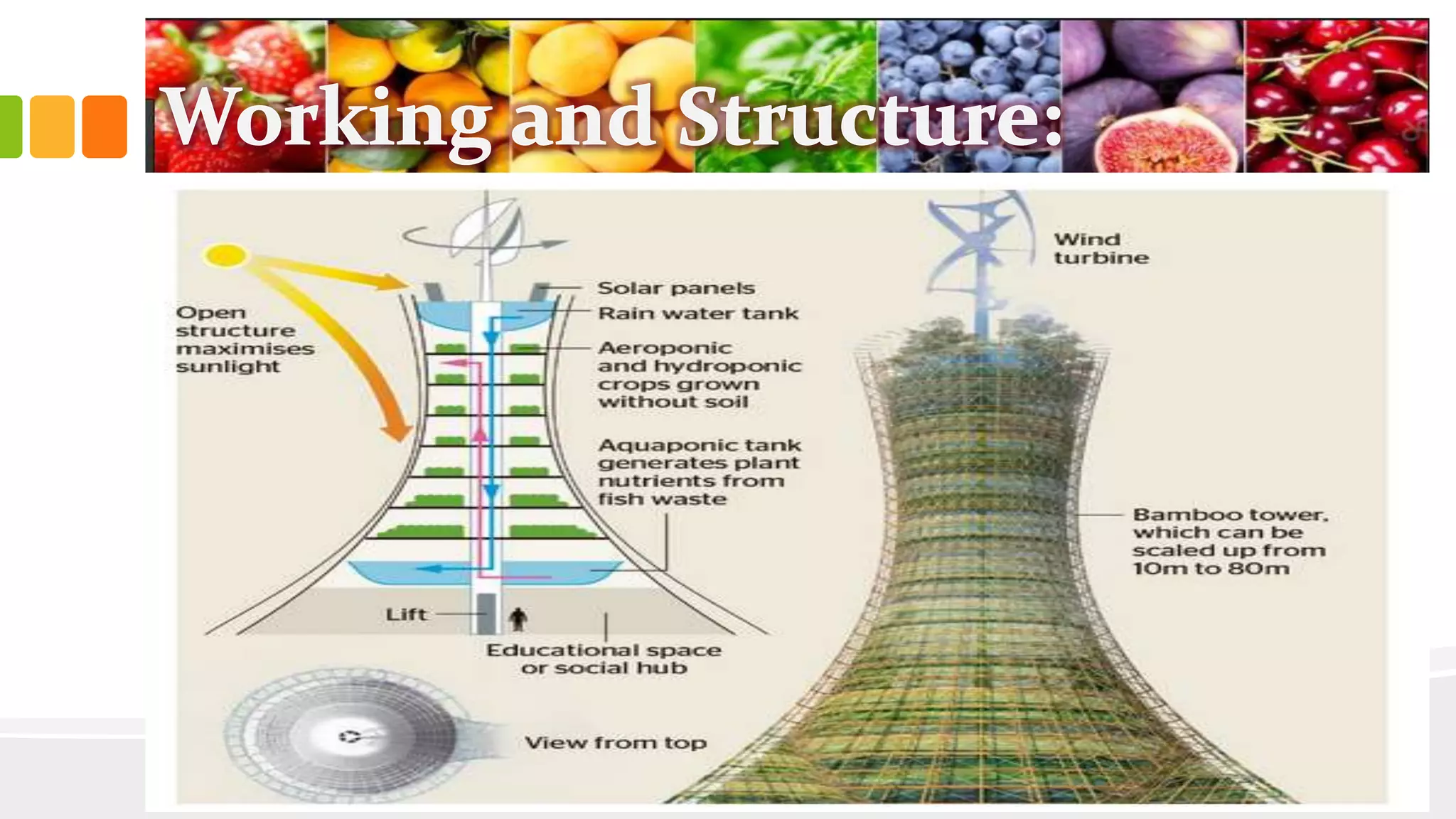 Vertical Farming | PPT