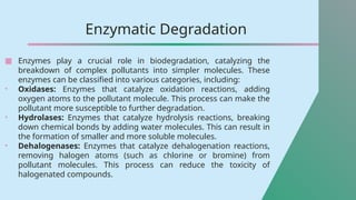 presentation microbial degradation of chemicals | PPTX