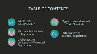 presentation microbial degradation of chemicals | PPTX