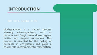 presentation microbial degradation of chemicals | PPTX