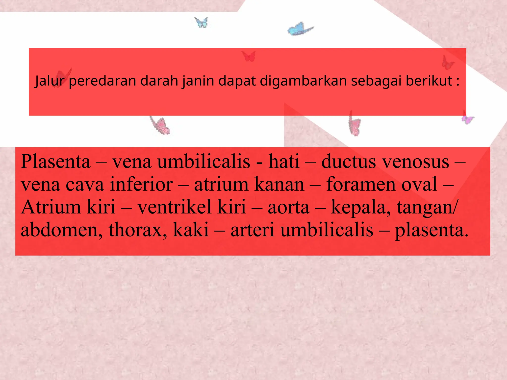 SIRKULASI_DARAH_JANIN anatomi fisiologi manusia.pptx