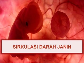 SIRKULASI_DARAH_JANIN anatomi fisiologi manusia.pptx