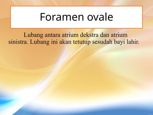 SIRKULASI_DARAH_JANIN anatomi fisiologi manusia.pptx