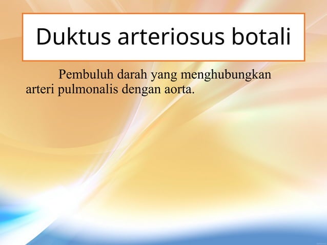 SIRKULASI_DARAH_JANIN anatomi fisiologi manusia.pptx