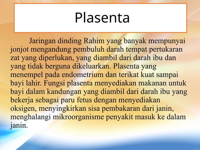 SIRKULASI_DARAH_JANIN anatomi fisiologi manusia.pptx