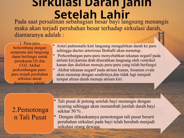 SIRKULASI_DARAH_JANIN anatomi fisiologi manusia.pptx