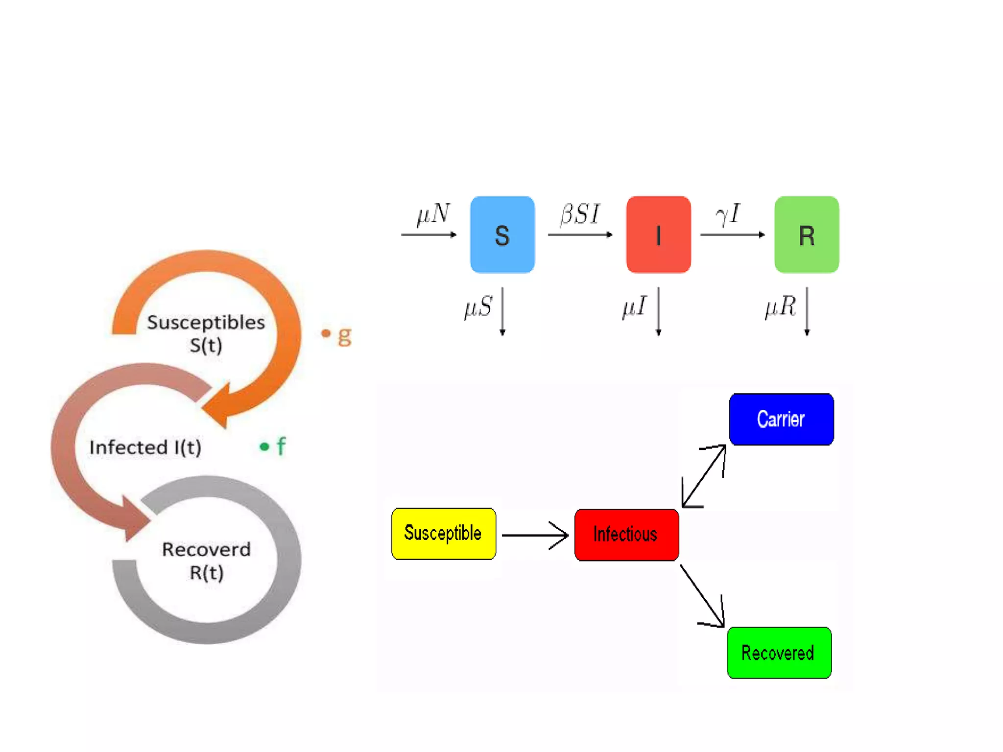 Sir model cat 1 (1) | PPTX