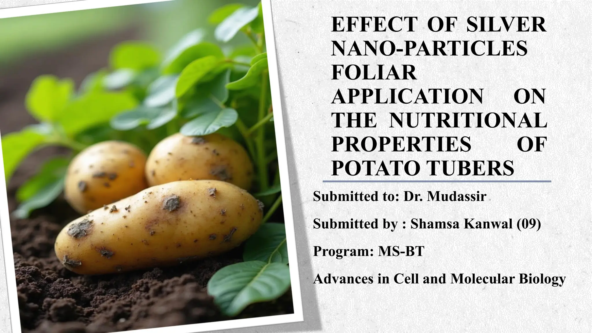 Effect of Silver nanoparticles foliar application on the nutritional ...