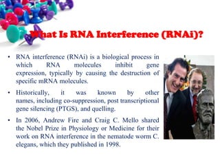 Si rna | PPTX