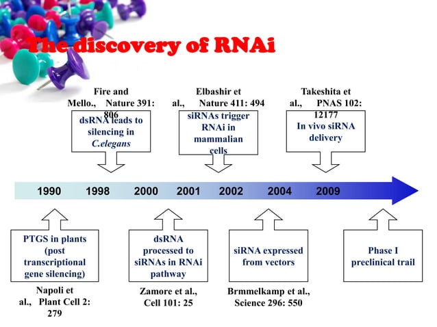 Si rna | PPTX | Biological Sciences | Science