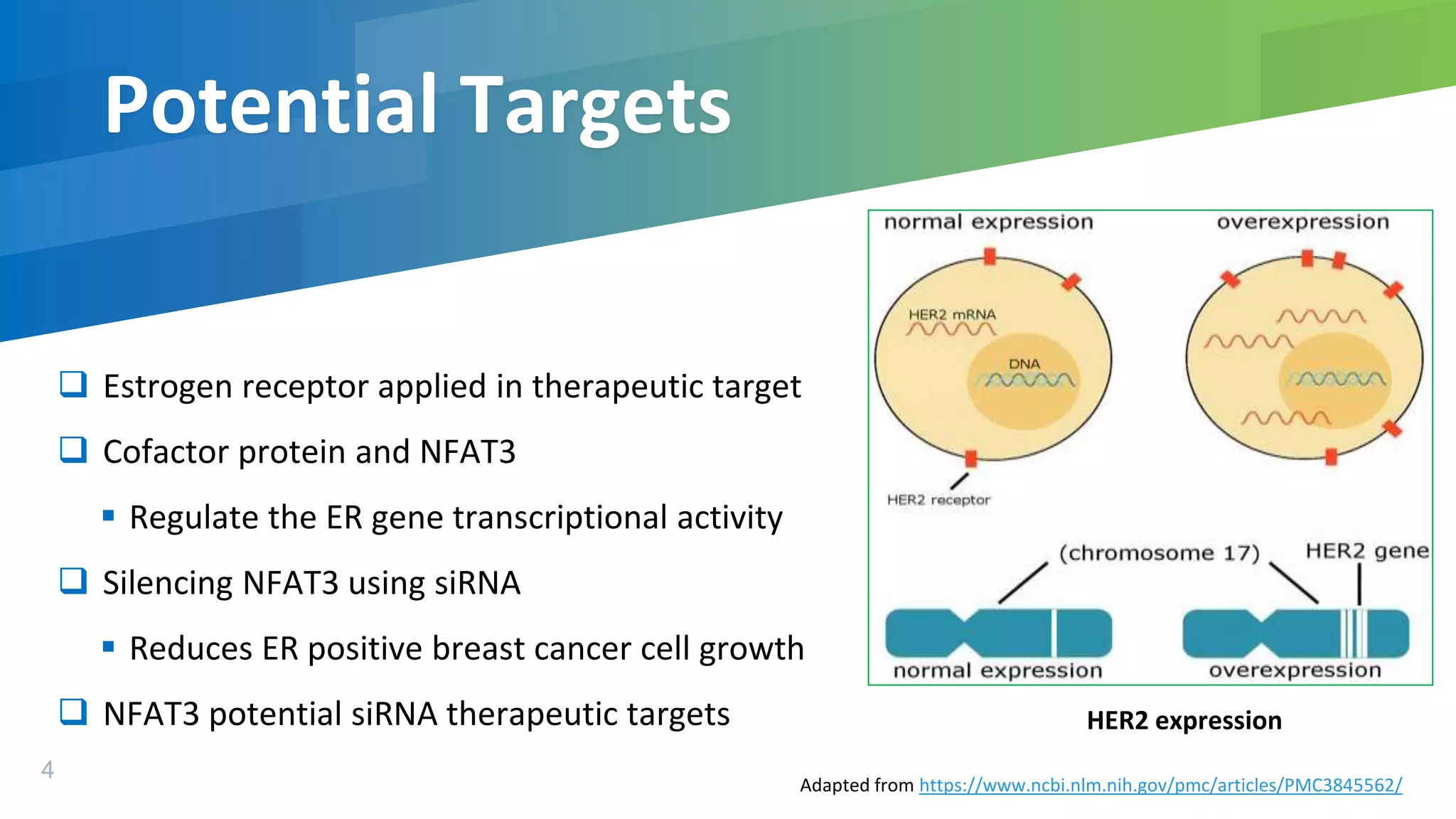 Small interfering RNA | PPT