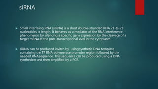 sirna and mirna | PPTX