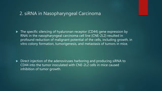 sirna and mirna | PPTX