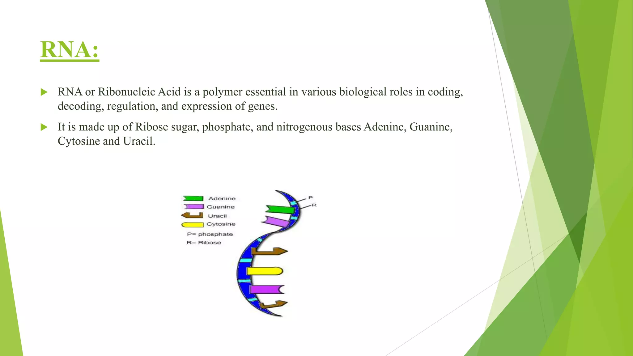 siRNA technology | PPTX