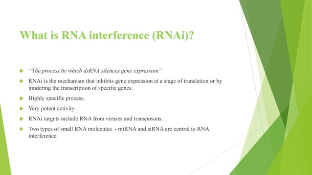 siRNA technology | PPTX