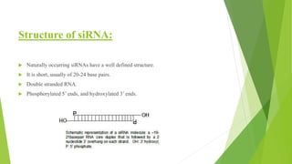 siRNA technology | PPTX