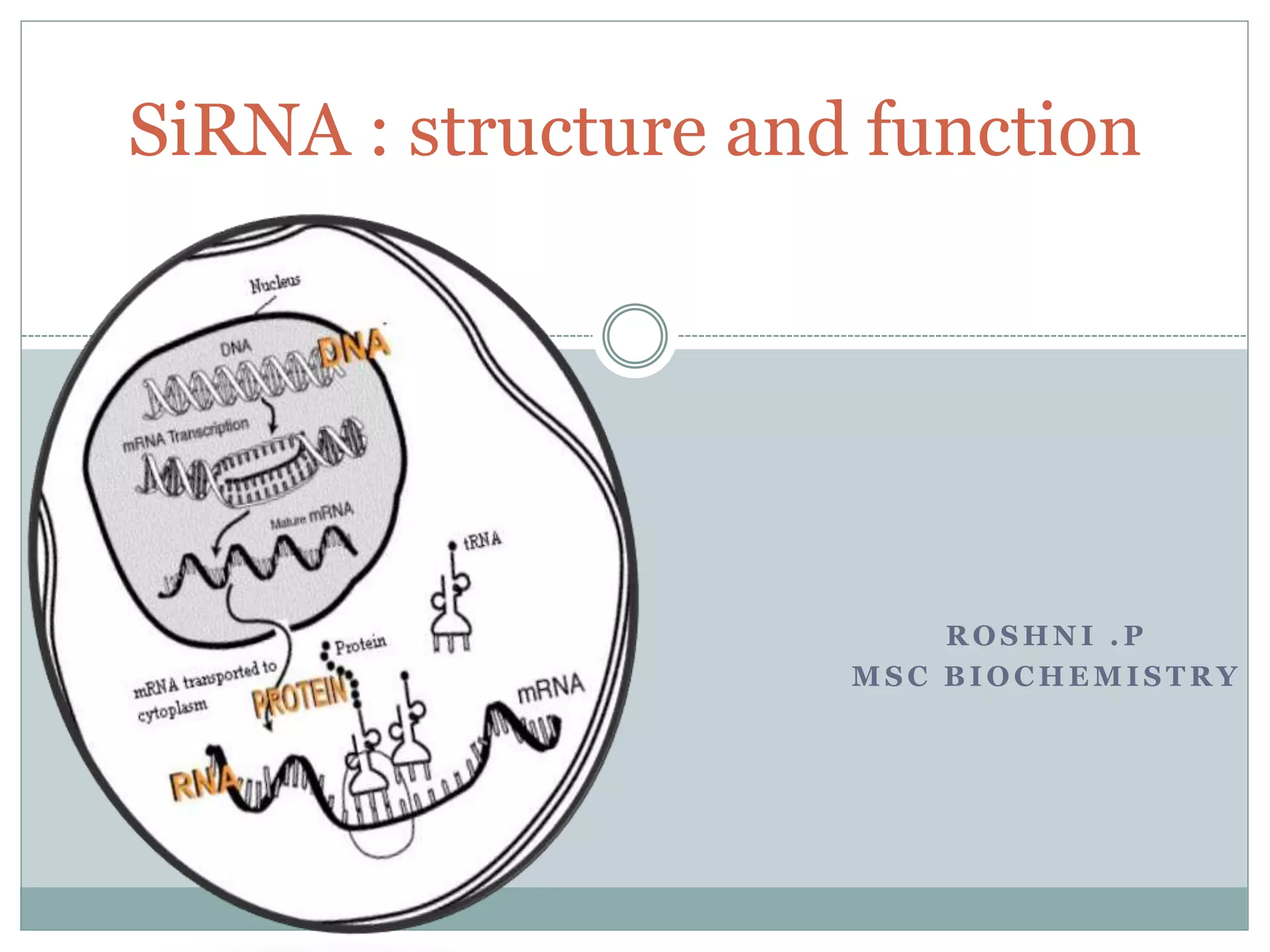 SiRNA | PPTX