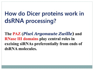 SiRNA | PPTX