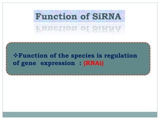 SiRNA | PPTX