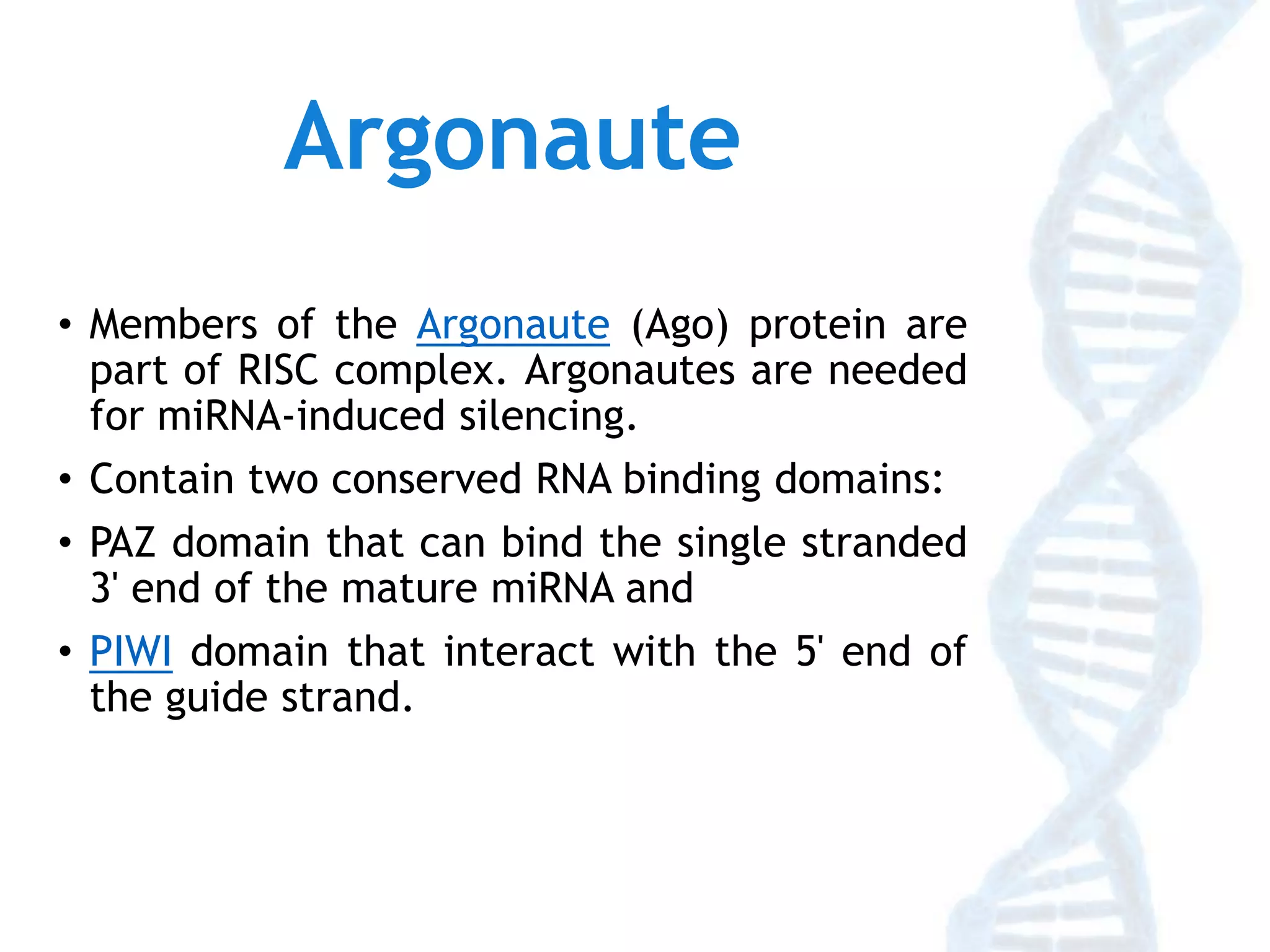 Si rna and micro rna | PPTX