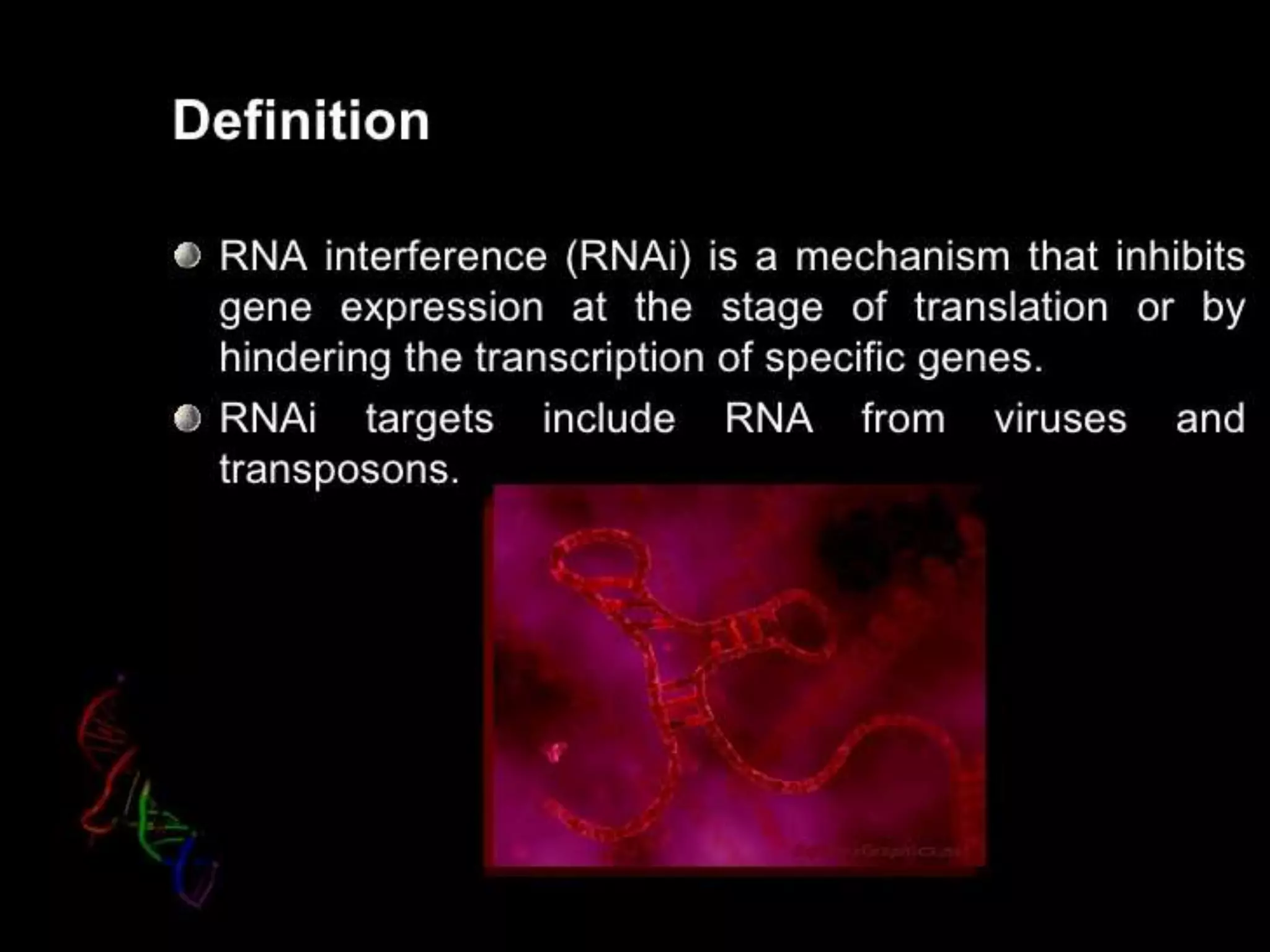 Sirna and sh rna | PPT