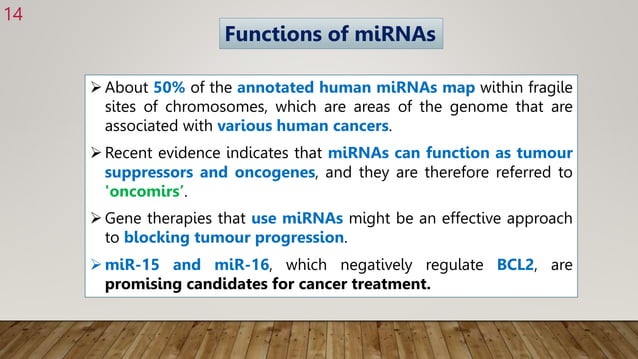 SiRNA & MiRNA.pptx | Programming Languages | Computing