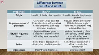 SiRNA & MiRNA.pptx