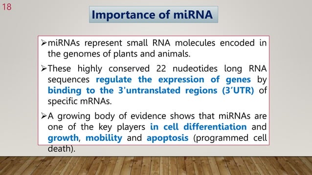 SiRNA & MiRNA.pptx | Programming Languages | Computing
