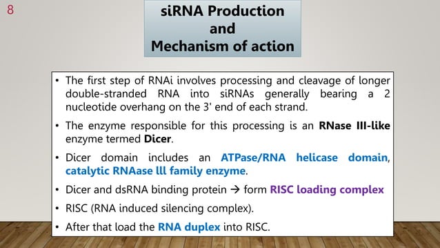 SiRNA & MiRNA.pptx | Programming Languages | Computing