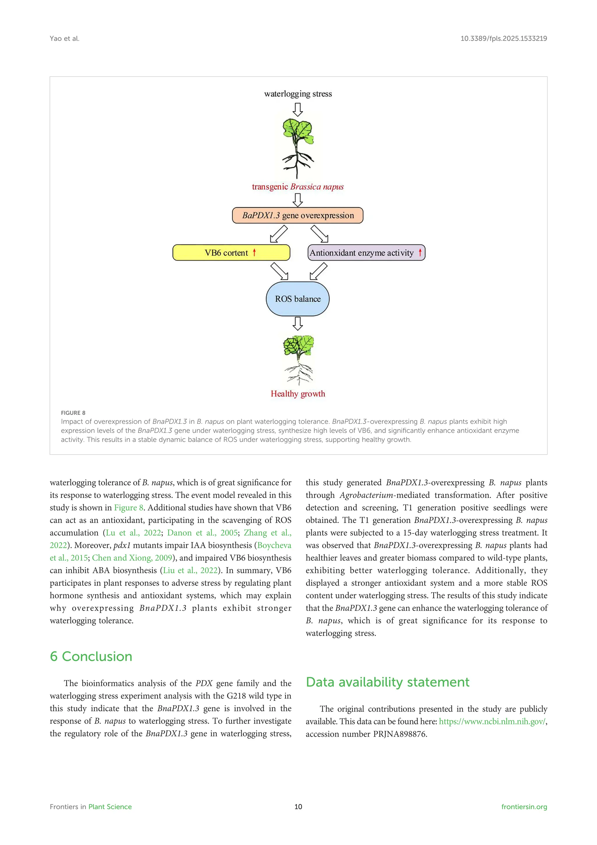 siGenome wide identification of PDX.pptxr Naveed .pdf