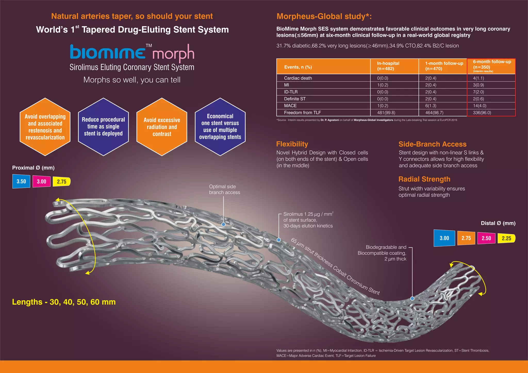 BIOMIME MORPH: Sirolimus Eluting Coronary Stent System by Meril Life | PPT