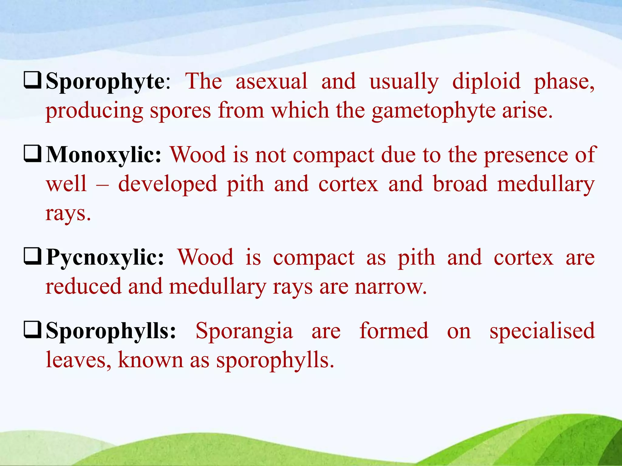 Gymnosperm characteristics | PPTX