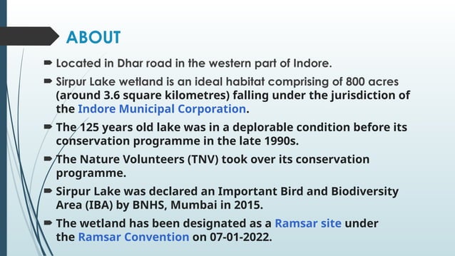 Sirpur Lake (Indore) - Ecology Case Study | PPTX | Zoos & Aquariums ...