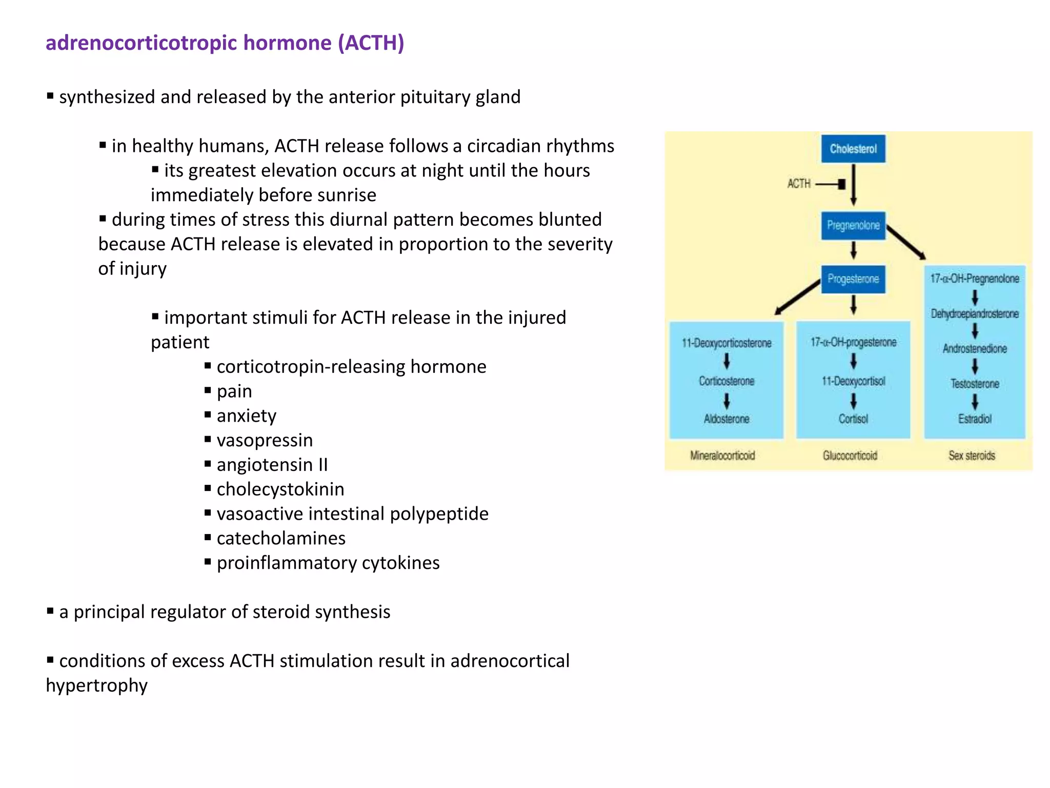 Systemic Inflammatory Response Syndrome Sirs Pptx Endocrine And