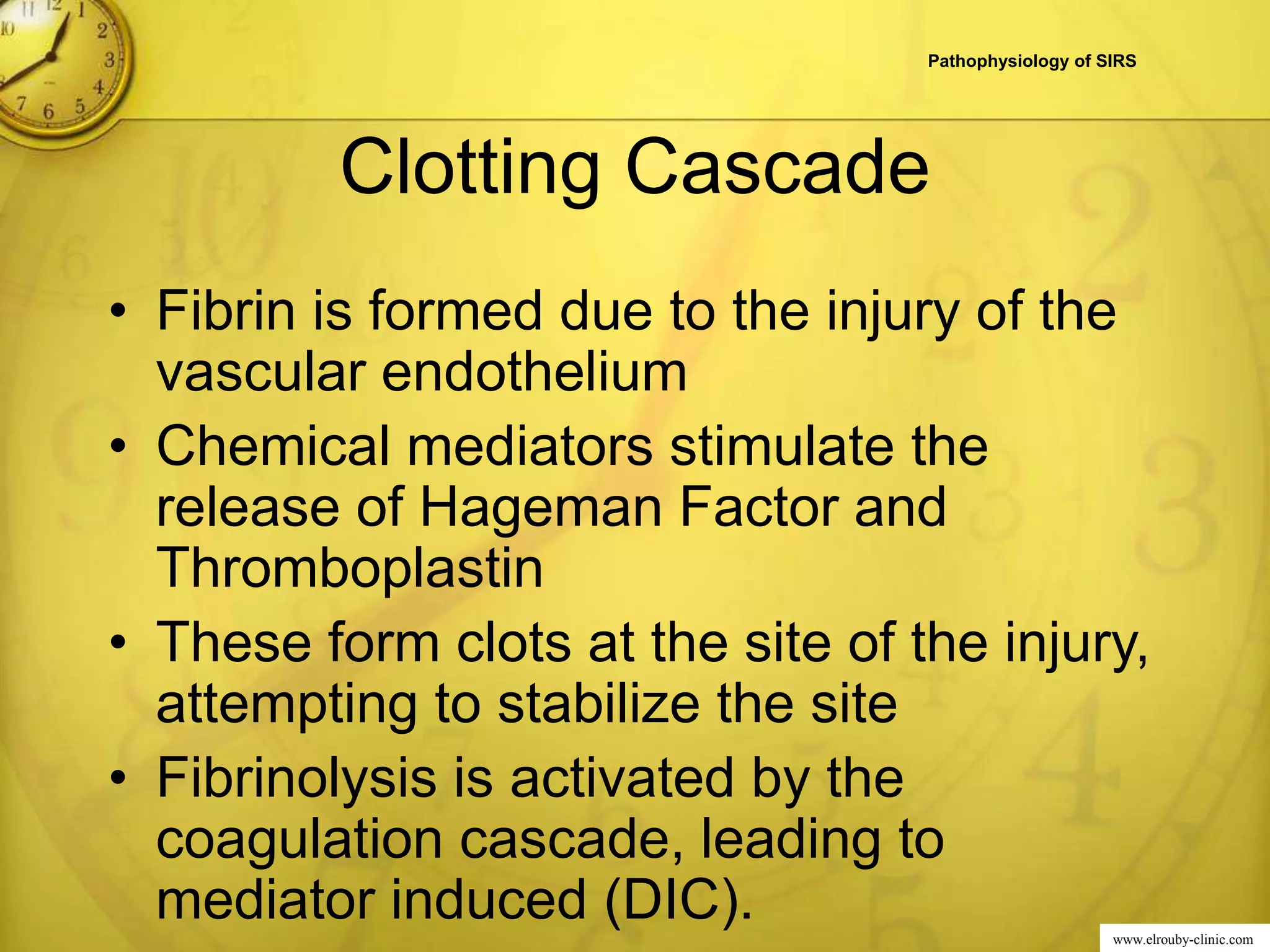 Systemic Inflammatory Response Syndrome Ppt Lung And Respiratory