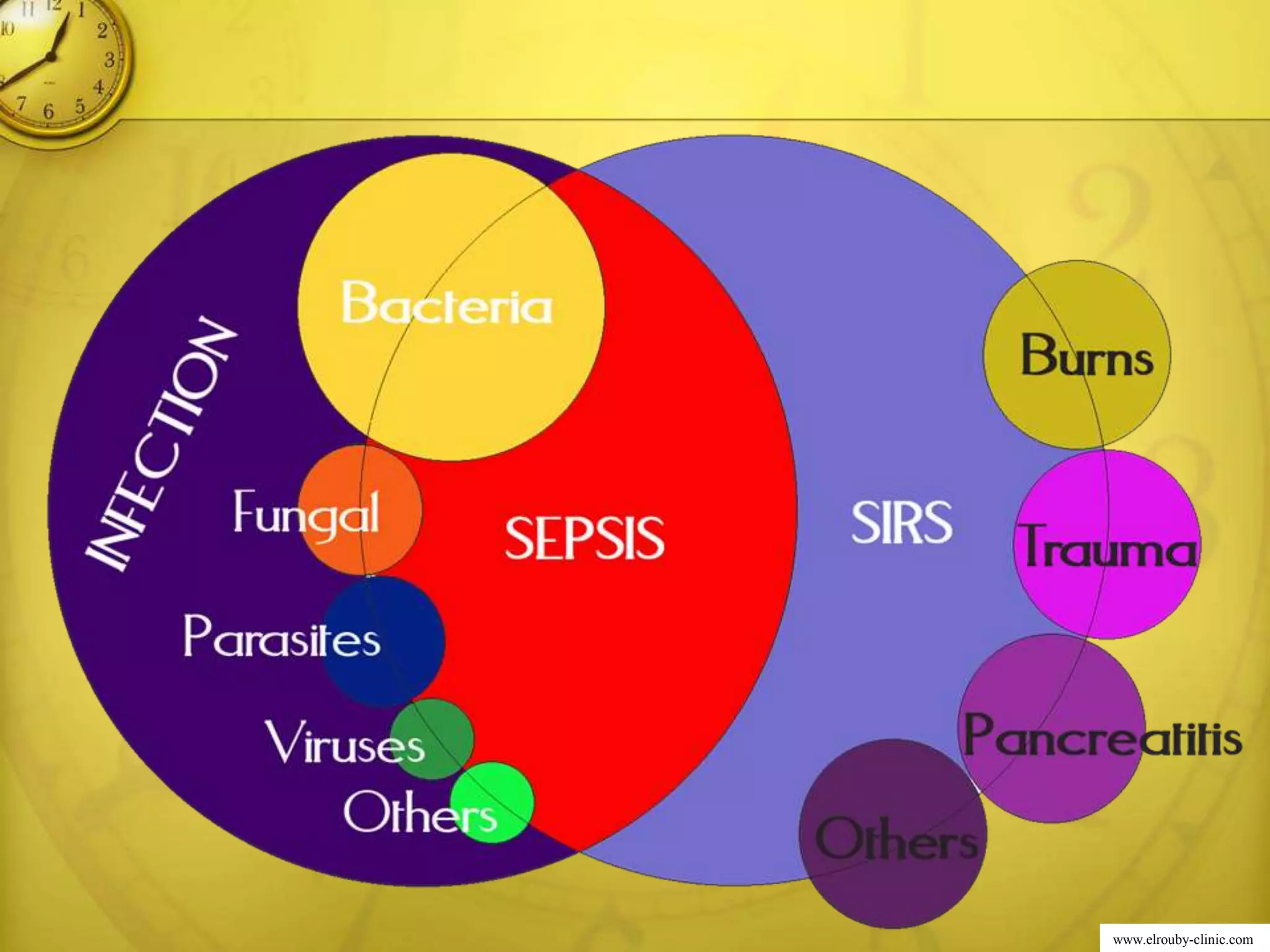 Systemic Inflammatory Response Syndrome Ppt Lung And Respiratory