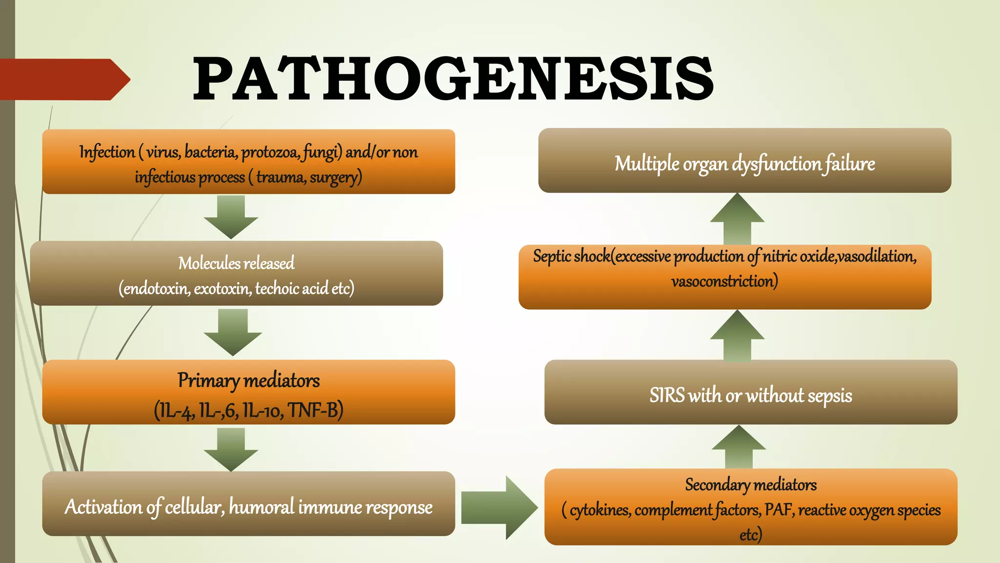 SIRS (SYSTEMIC INFLAMMATORY RESPONSE SYNDROME) | PPTX