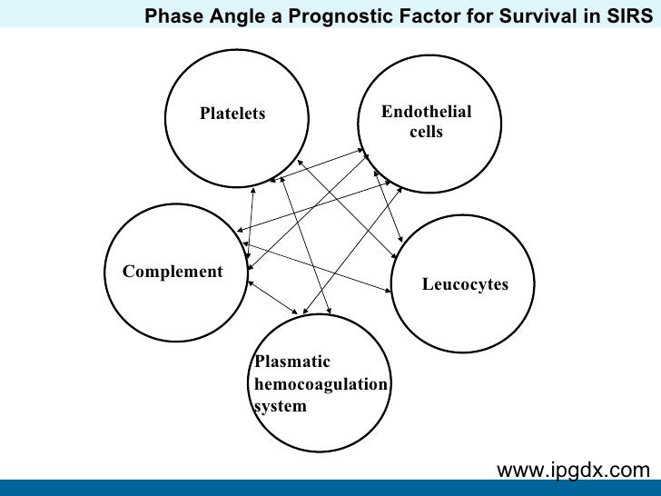 Systemic Inflammatory Response Syndrome Sirs Prognosis
