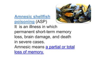Bacillariophyceae Amnesic shellfish poisoning | PPT