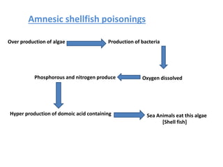 Bacillariophyceae Amnesic shellfish poisoning | PPT