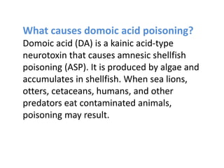 Bacillariophyceae Amnesic shellfish poisoning | PPTX
