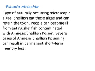 Bacillariophyceae Amnesic shellfish poisoning | PPT
