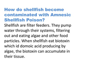 Bacillariophyceae Amnesic shellfish poisoning | PPT