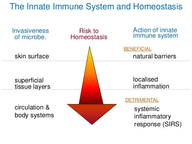 Physiological Processes