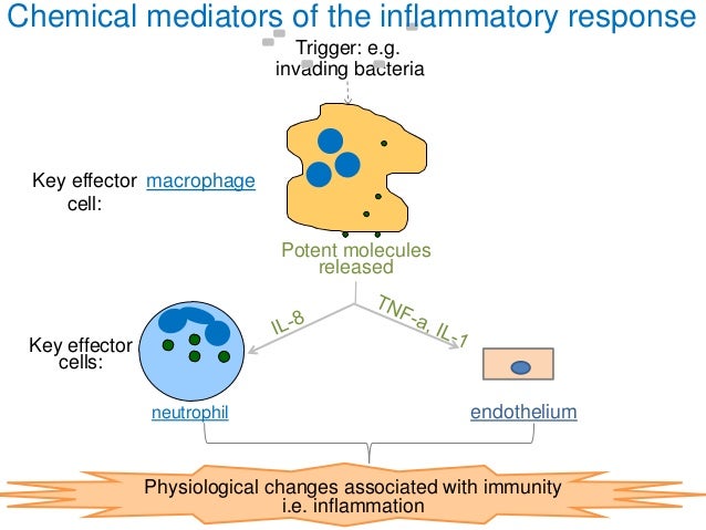 Physiological Processes