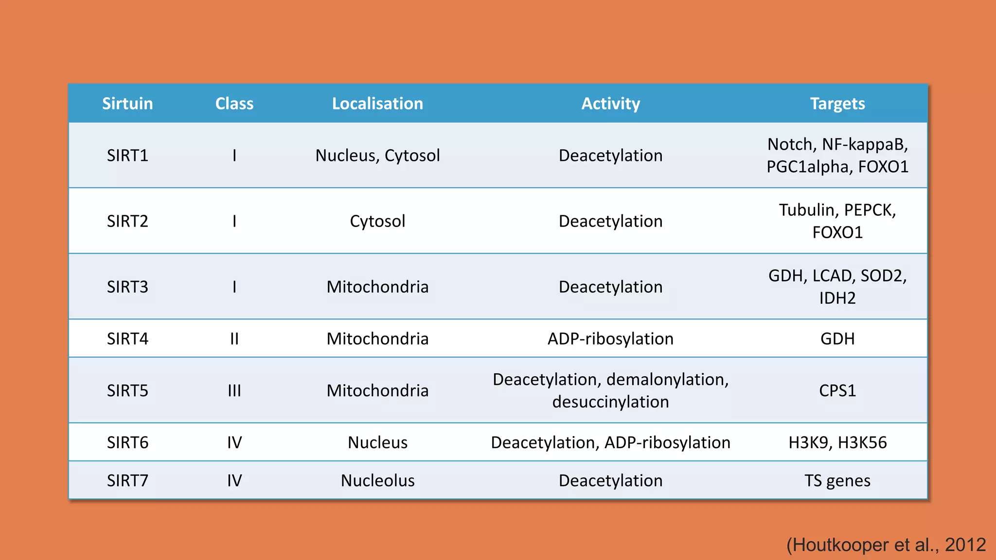 Sirtuins, epigenetics and longevity | PPTX