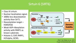 Sirtuins, epigenetics and longevity | PPTX