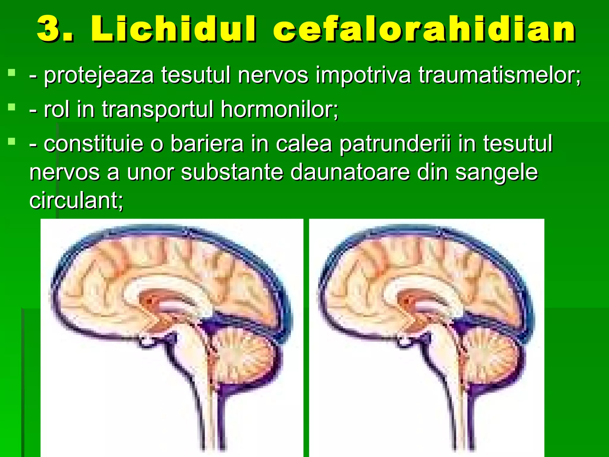 Sis. nervos. var imbunatatita | PPT
